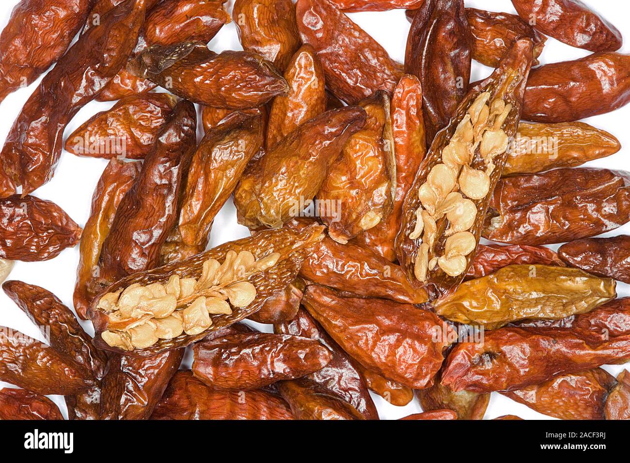 Bird's eye chilli peppers (Capsicum frutescens Stock Photo - Alamy