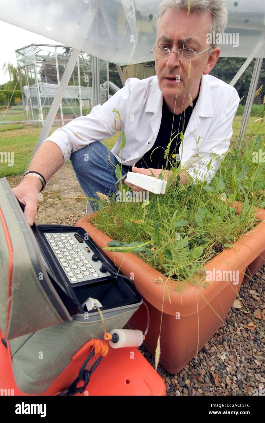 Pollution research. Researcher monitoring the impact of ozone on ...