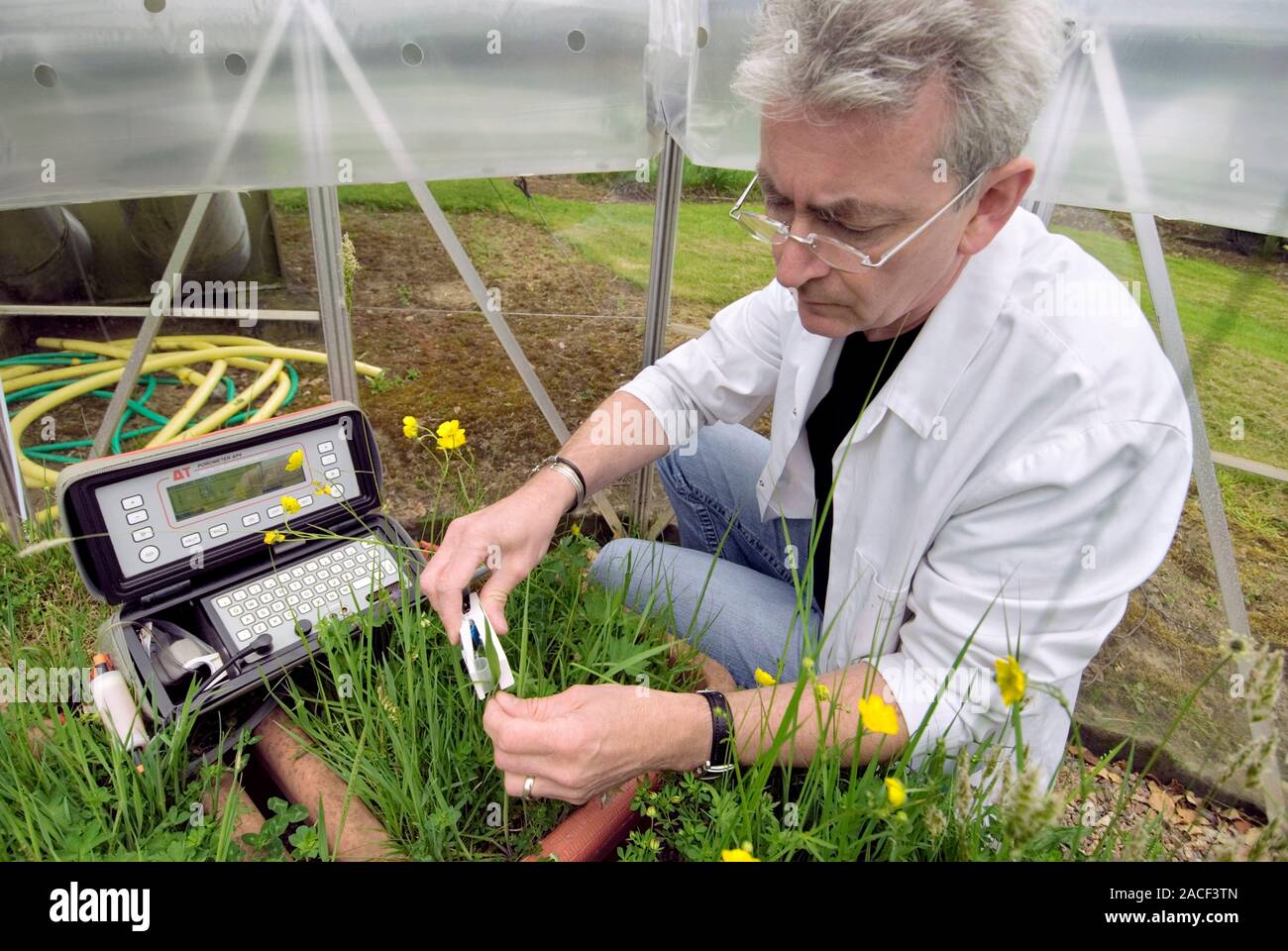 Pollution research. Researcher monitoring the impact of ozone on ...