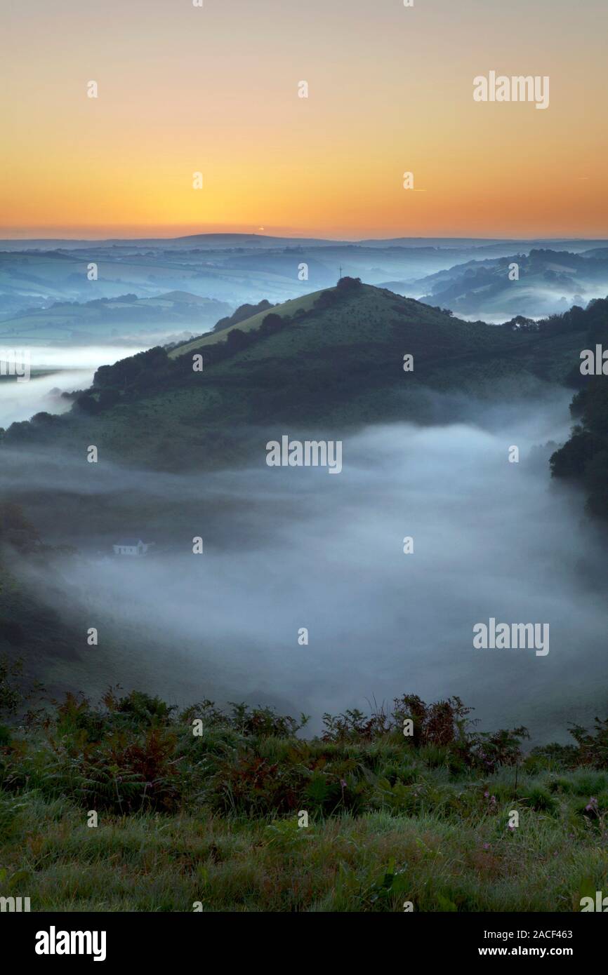Morning mist. Dawn light over a misty valley. Photographed at Codden ...