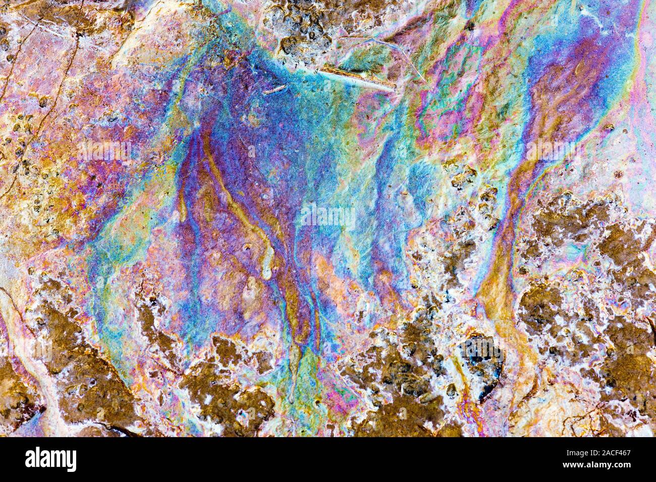 Interference pattern of colours caused by light reflected off a thin ...