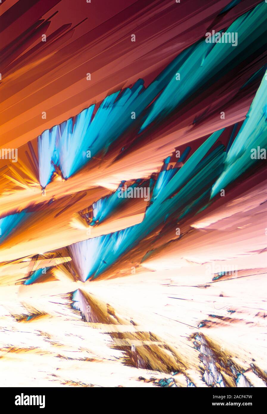 Adenosine crystals, polarised light micrograph. Adenosine is a ...
