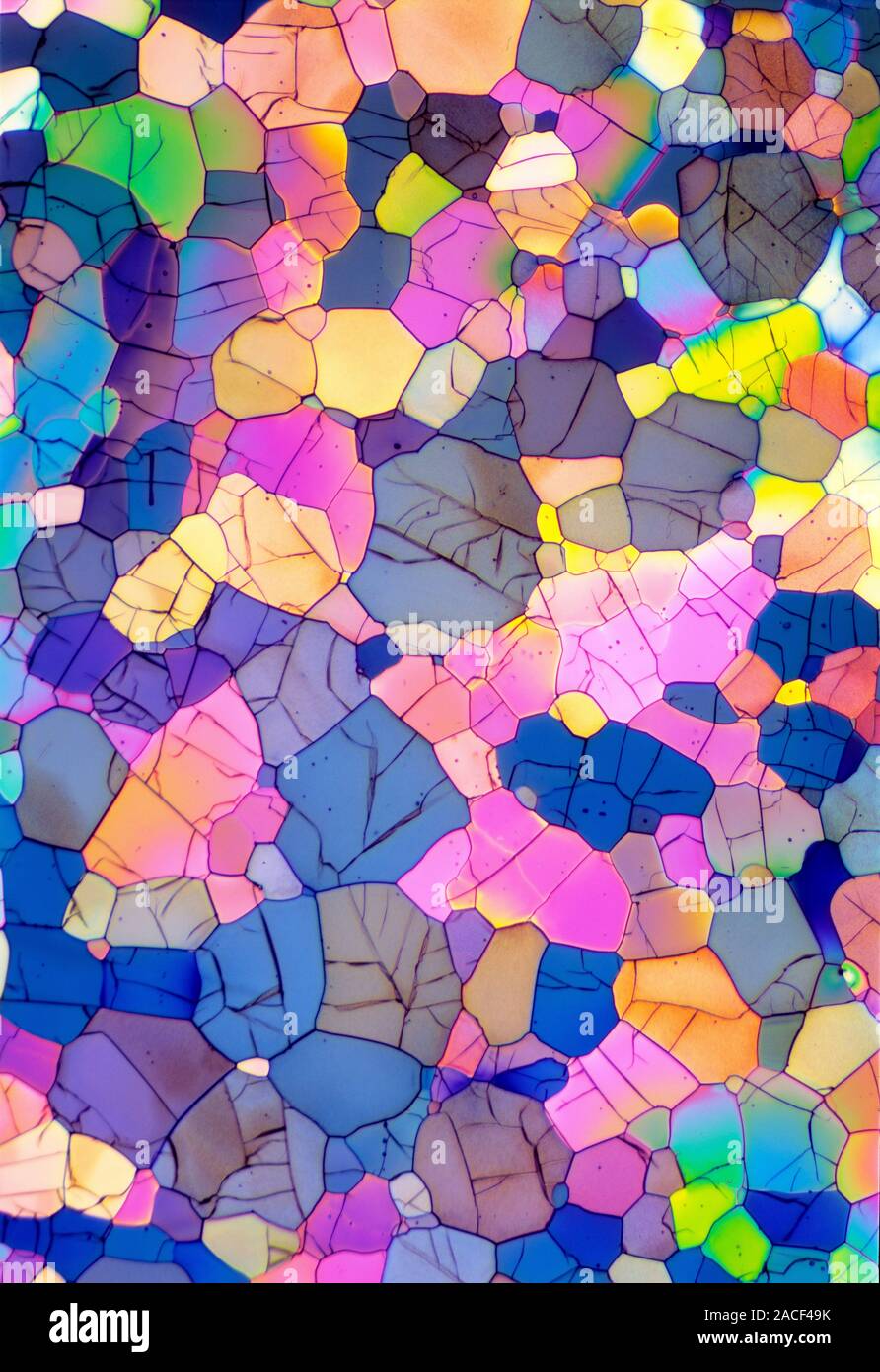 Caffeine crystals. Polarised light micrograph of crystals of caffeine ...