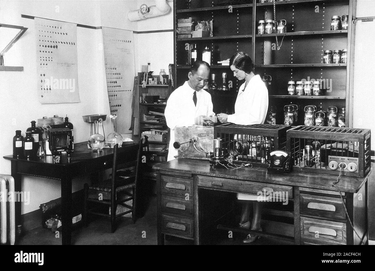 Cancer research. Researchers working in an experimental cancer ...