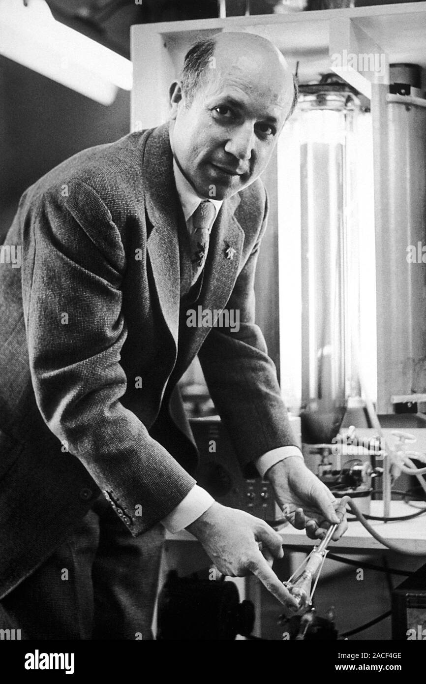 Melvin Calvin (1911-1997), US biochemist, in his photosynthesis ...