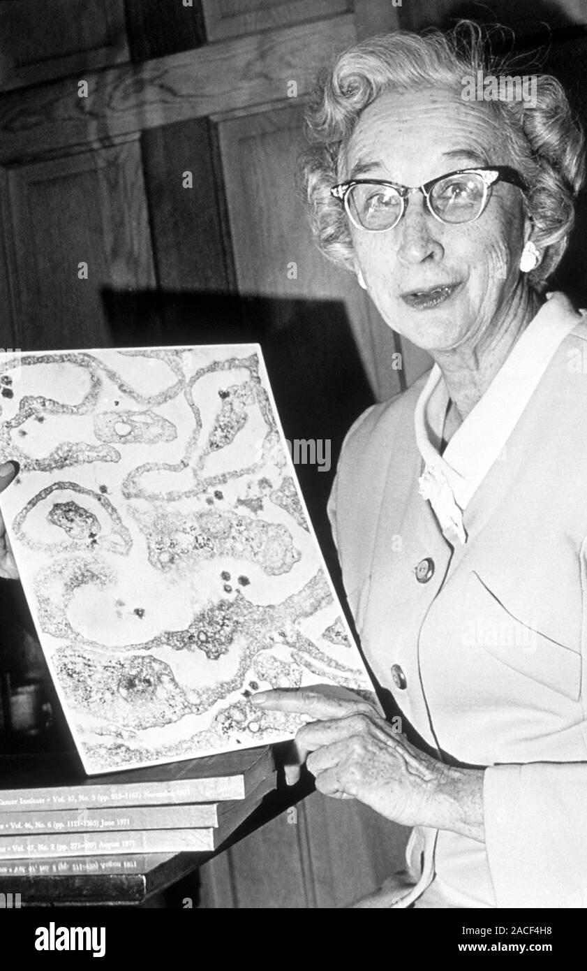 Sarah Stewart (1905-1976), US oncologist, showing oncogenic (cancer ...