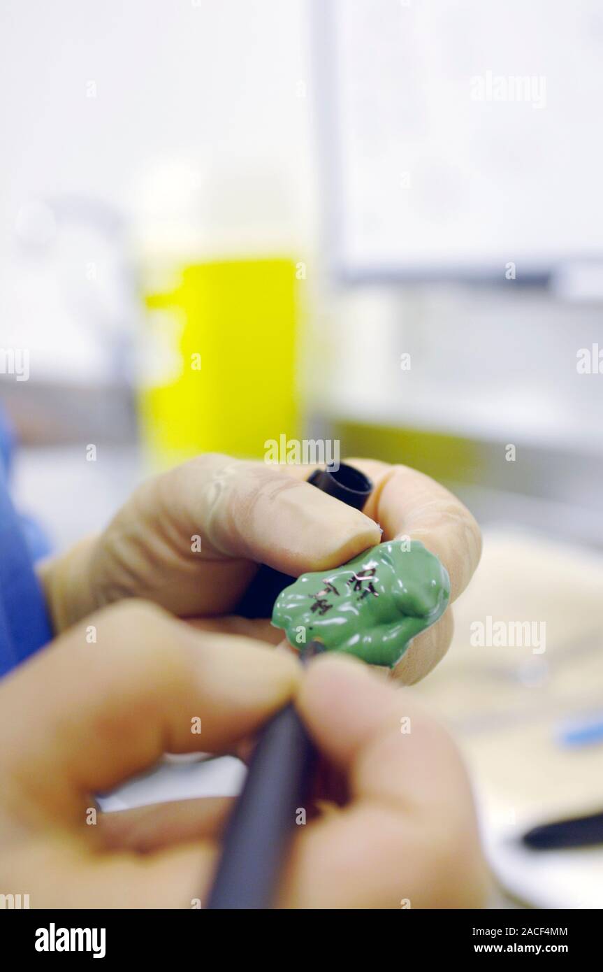 Forensics fingerprinting material testing. Researcher writing ...