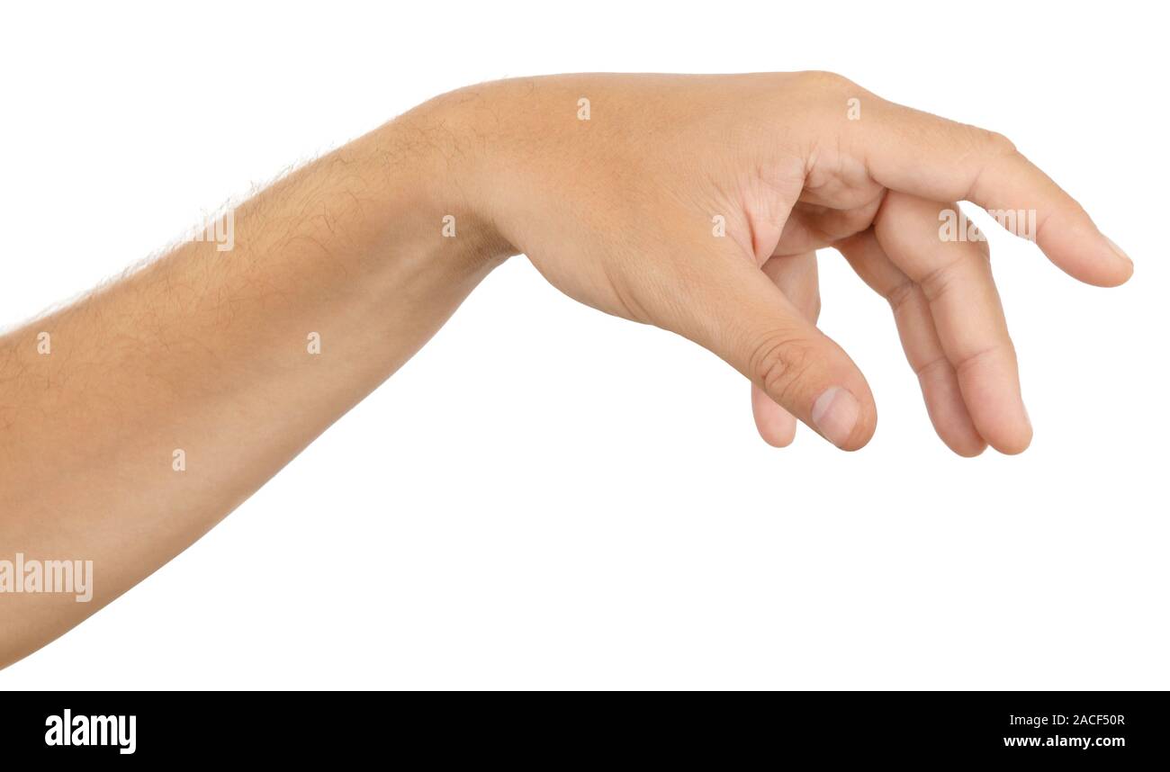 Male left palm isolated on white. Leonardo da Vinci style Stock Photo ...