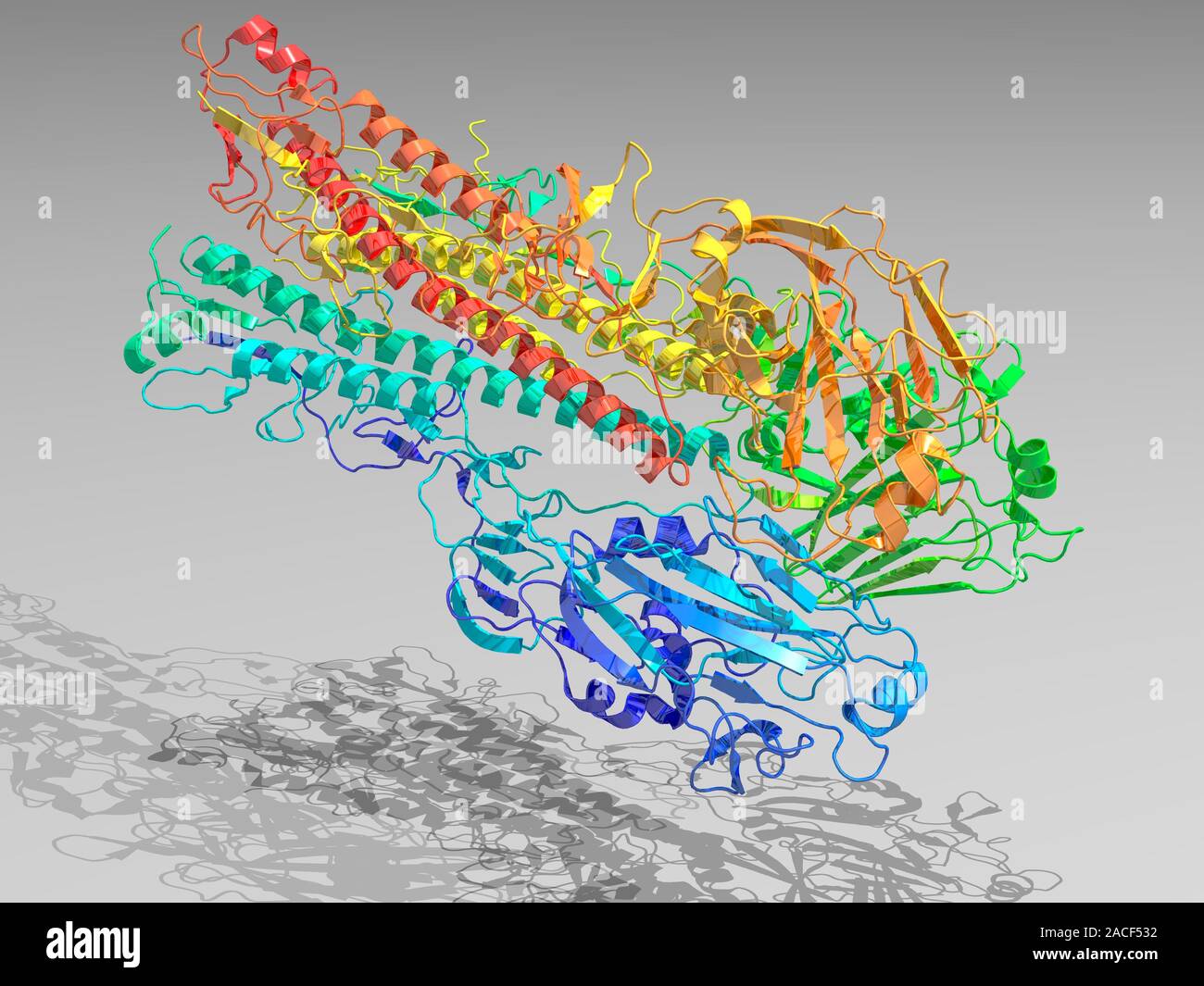 Spanish flu virus. Computer model showing the molecular structure of an ...