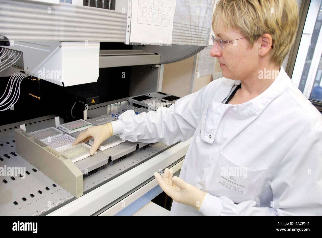 Blood analysis. Haematologist loading a microplaque, containing samples ...