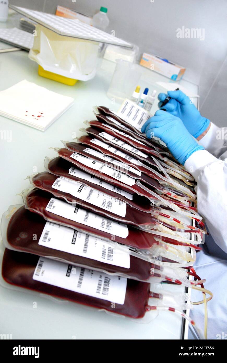 Blood group identification. Haematologist updating the labels on donor ...