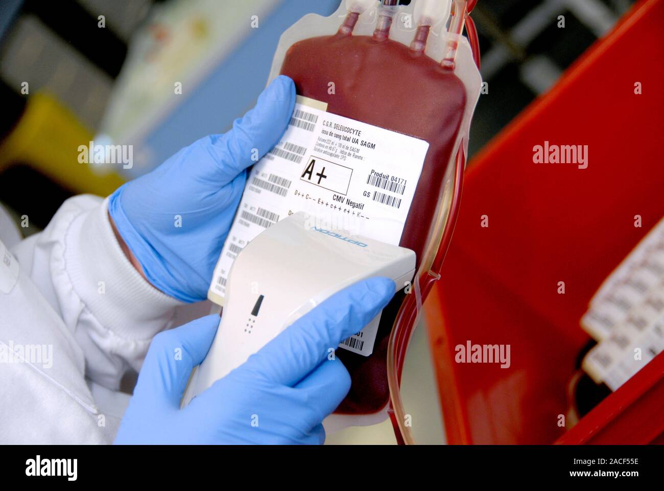 Barcode scanning of donated blood. Haematologist scanning a bag of ...