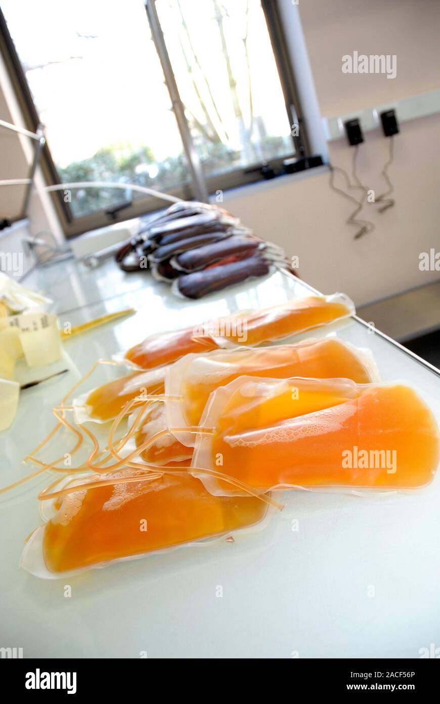 Separated blood combonents. Bags of blood components, including ...