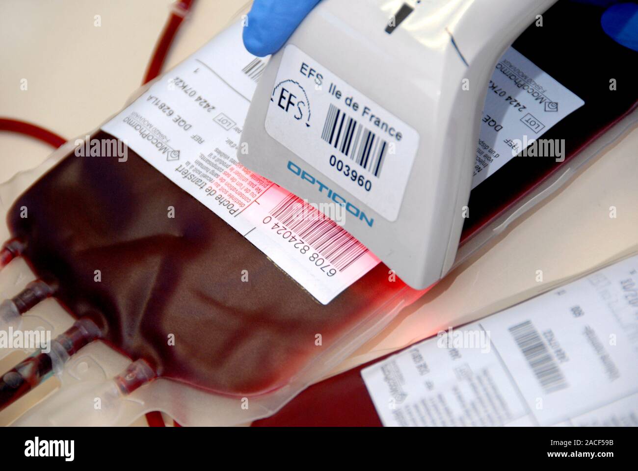 Barcode scanning of donated blood. Haematologist scanning a bag of ...