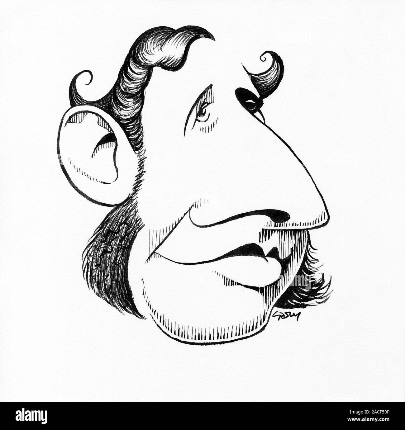 Robert FitzRoy (1805-1865). Caricature of the British meteorologist and ...