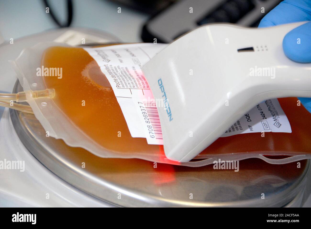 Barcode scanning of blood plasma. Haematologist scanning a bag of ...