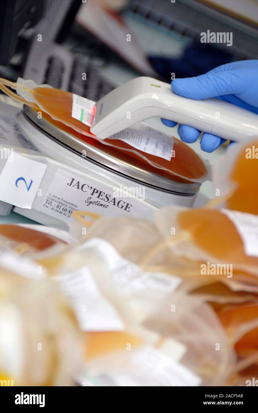 Barcode scanning of blood plasma. Haematologist scanning a bag of ...