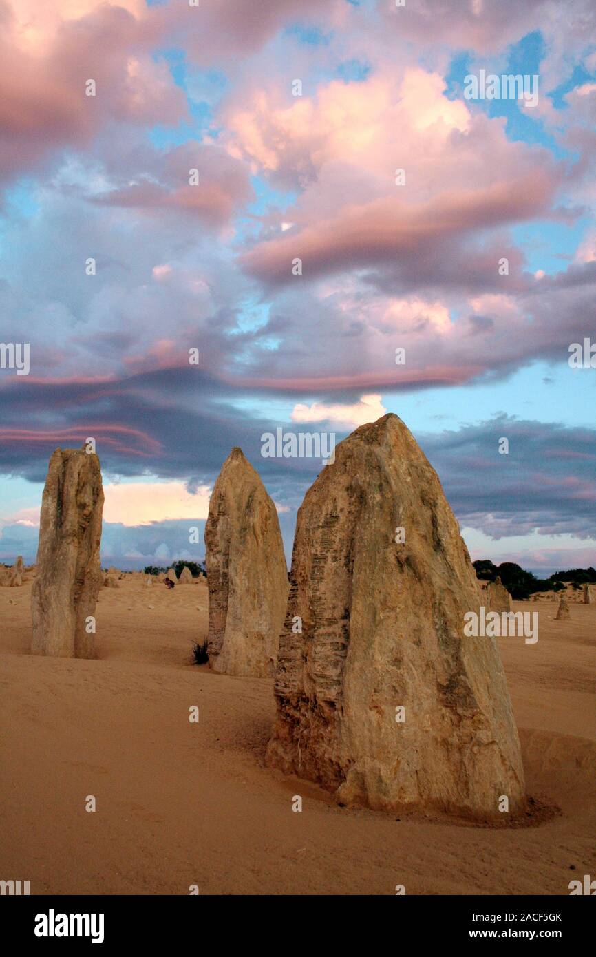 Limestone pinnacles at dusk. In arid regions, wind erosion can create ...