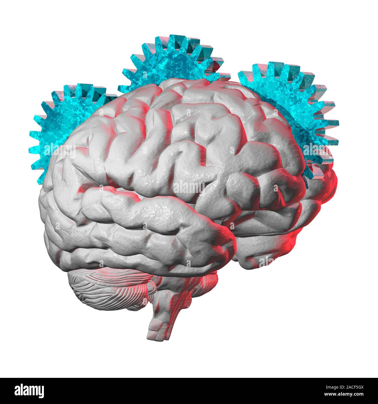 Brain function, conceptual computer artwork. Human brain with ...