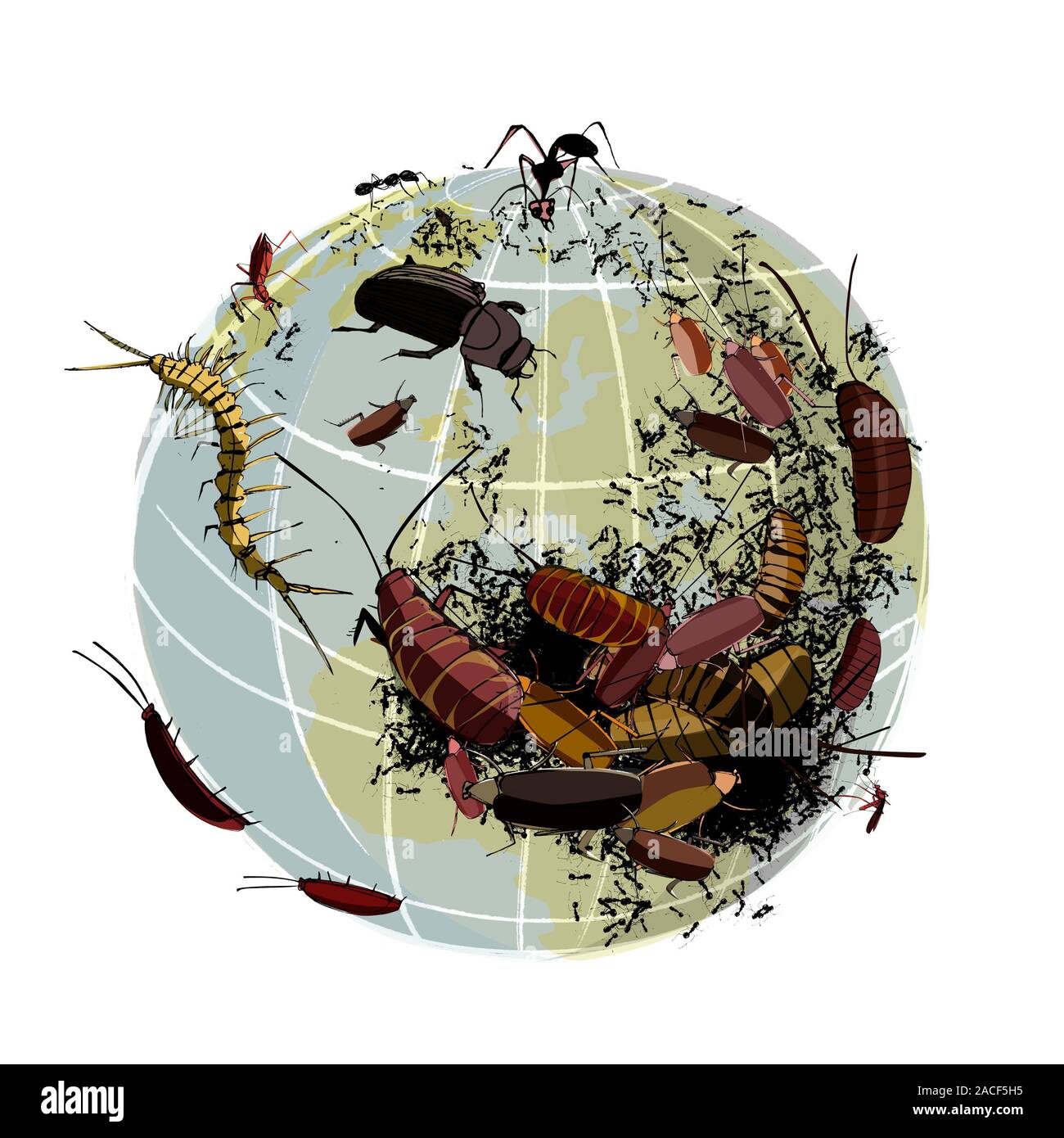 Global insect plague, conceptual artwork. Insects crawling over a globe ...