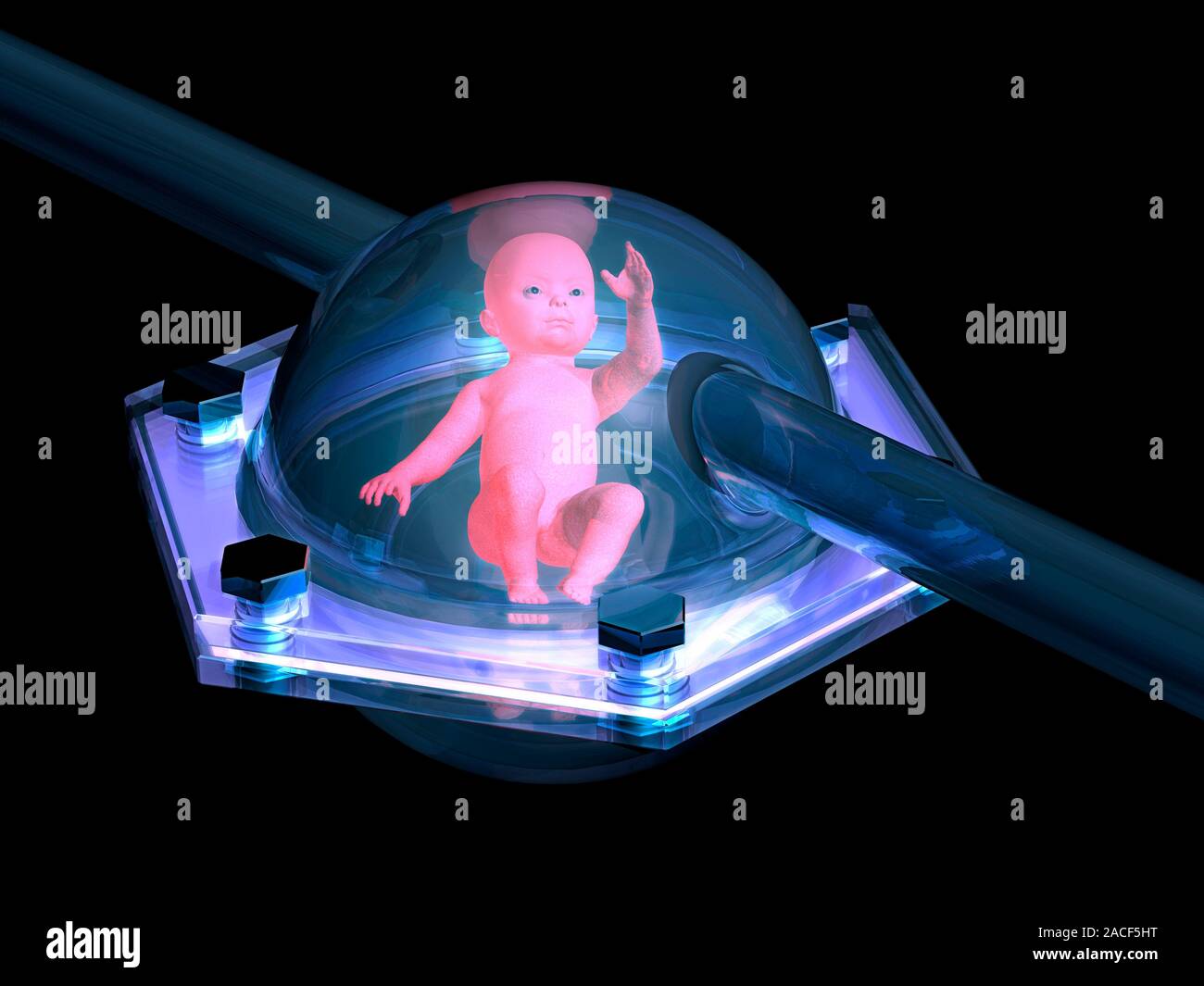 Human cloning, conceptual computer artwork. Baby in a glass case Stock ...