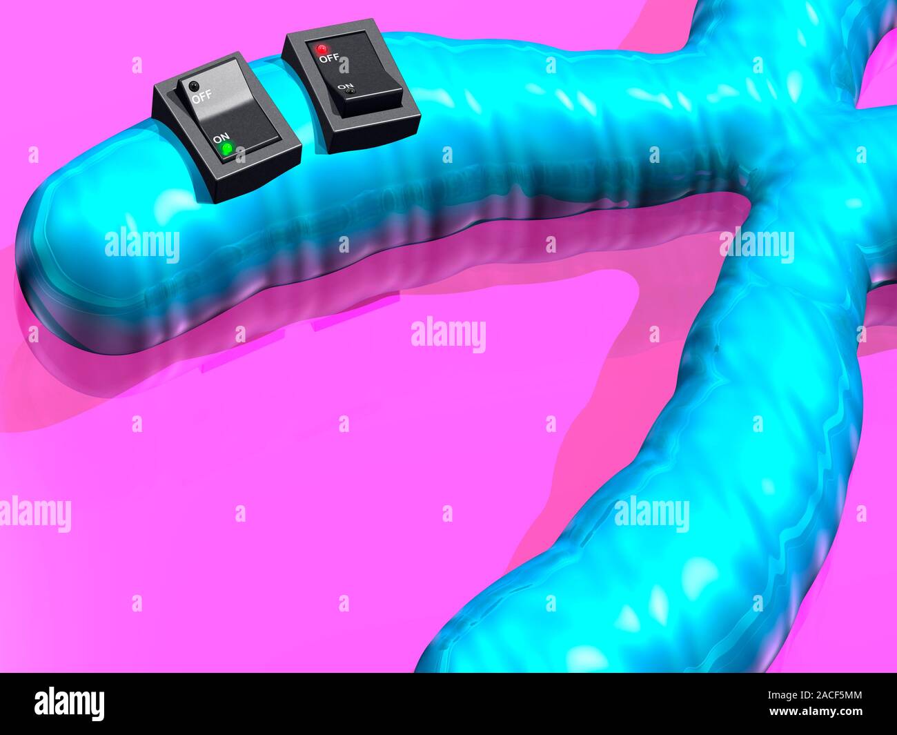 Gene switches, conceptual computer artwork. Switches on the arm of a ...