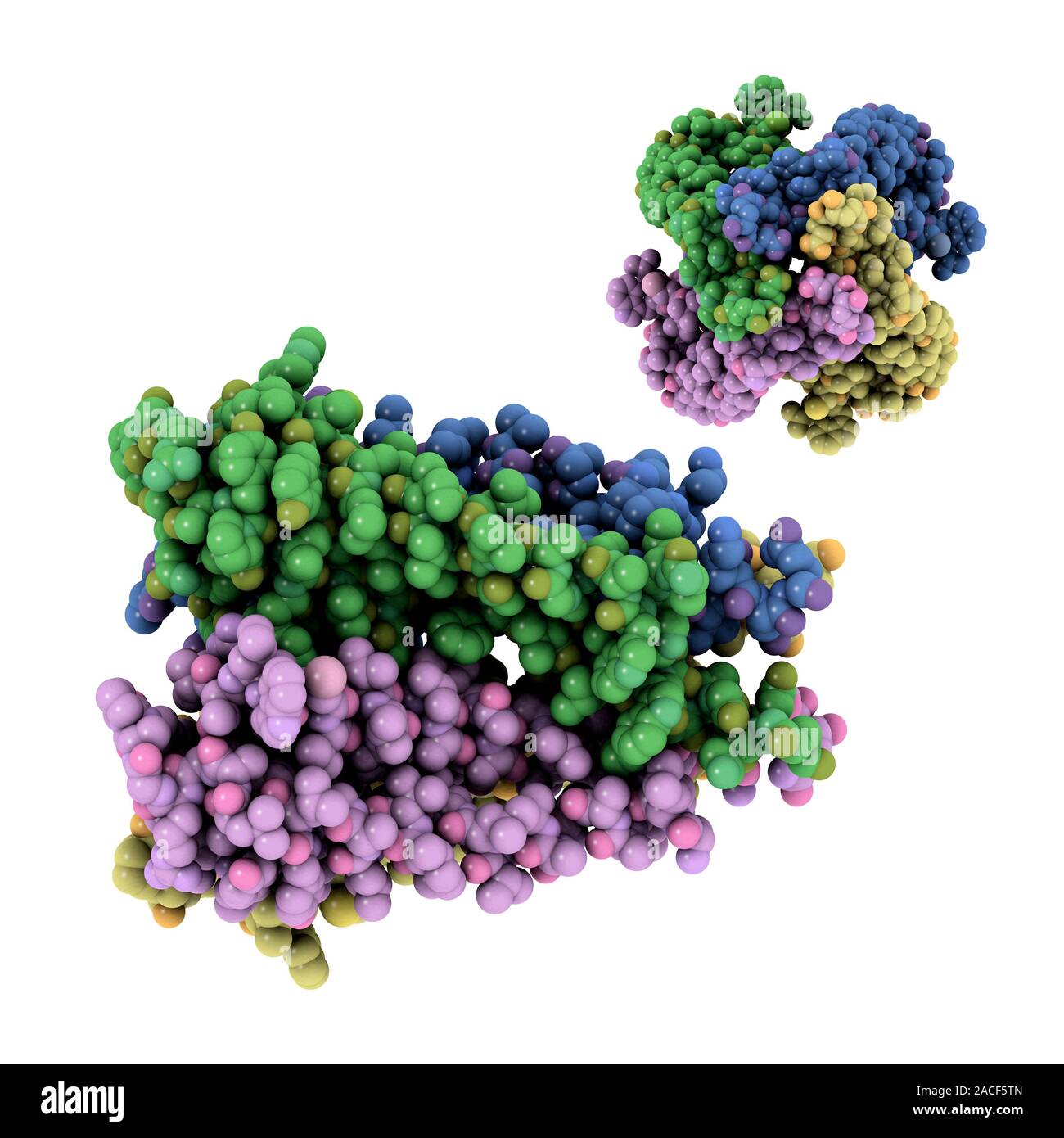 Potassium channel, molecular model. Side (lower centre) and end (upper ...