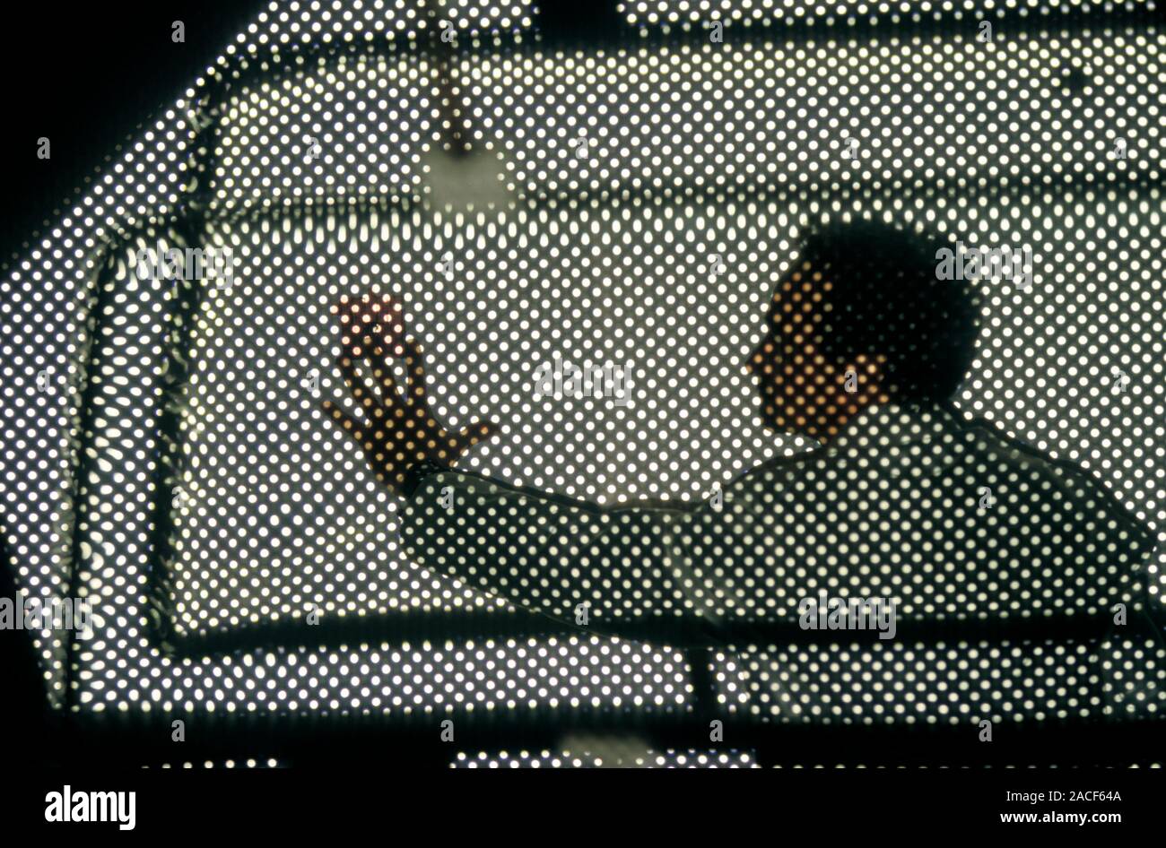 Car windscreen manufacturing. Engineer handling a sheet of glass during ...