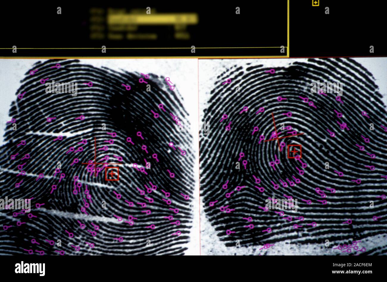 Fingerprint analysis. Screenshot of fingerprints being compared using a ...