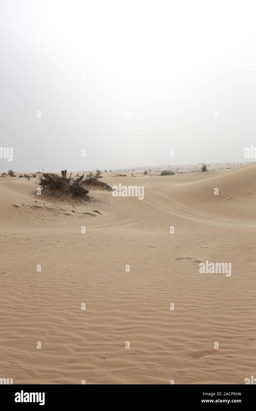 Arabic Desert Landscapes in Dubai, UAE Stock Photo - Alamy