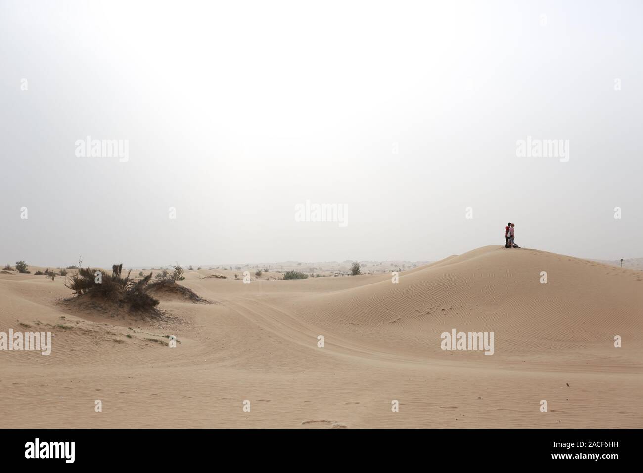 Arabic Desert Landscapes in Dubai, UAE Stock Photo - Alamy