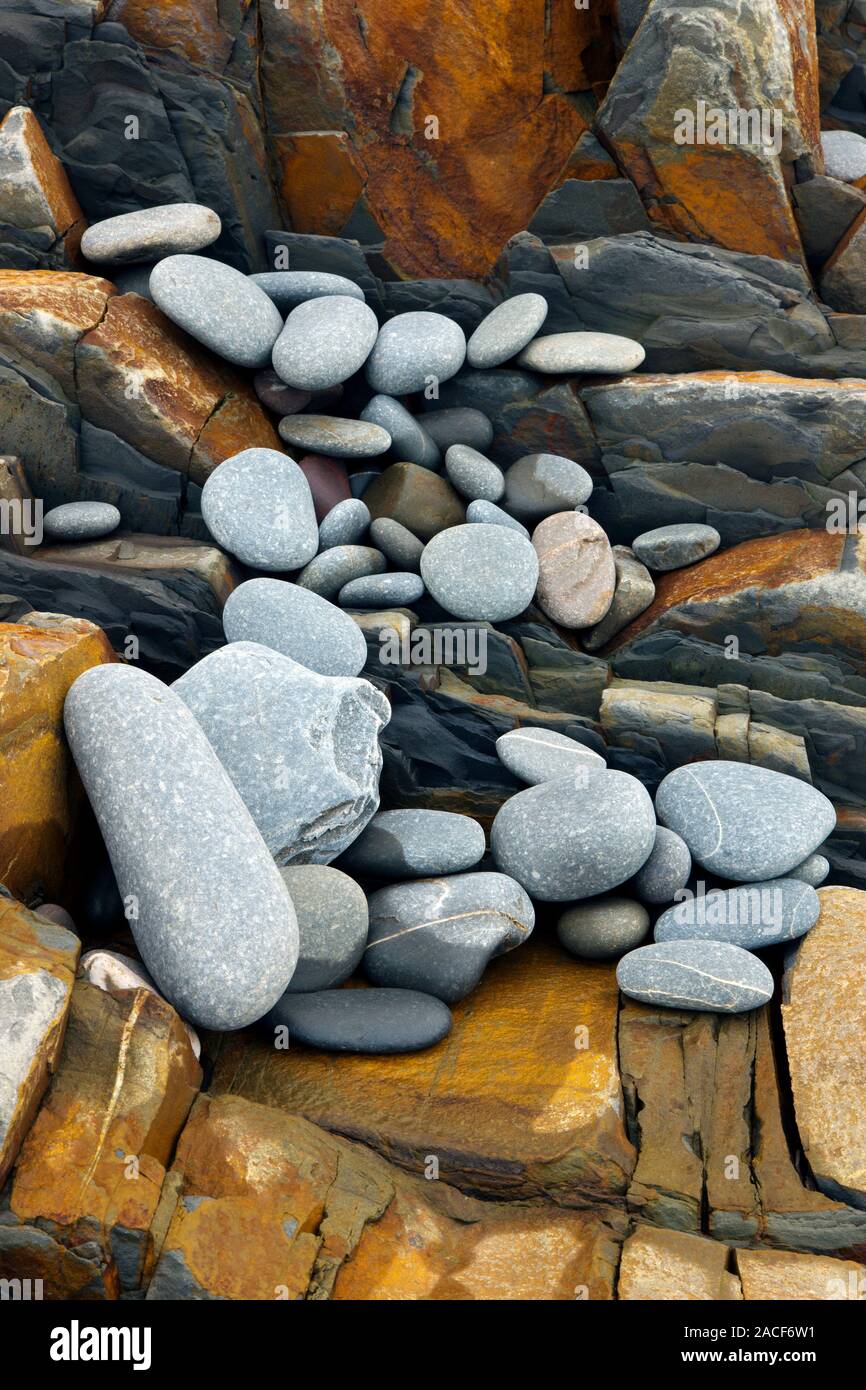 Coastal rocks. Photographed near Abbotsham in Devon, UK Stock Photo - Alamy