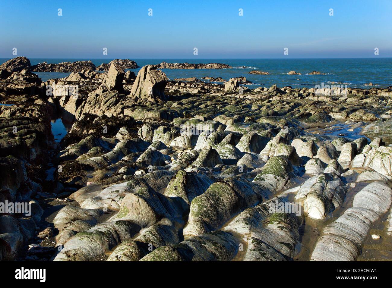 Coastal rocks. Vertical ridges of shale are seen towards upper left ...