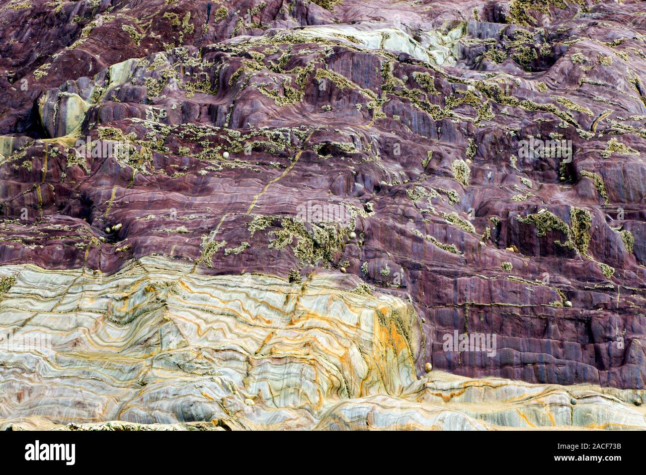 Coloured coastal rock. These colourful streaks result from the ...