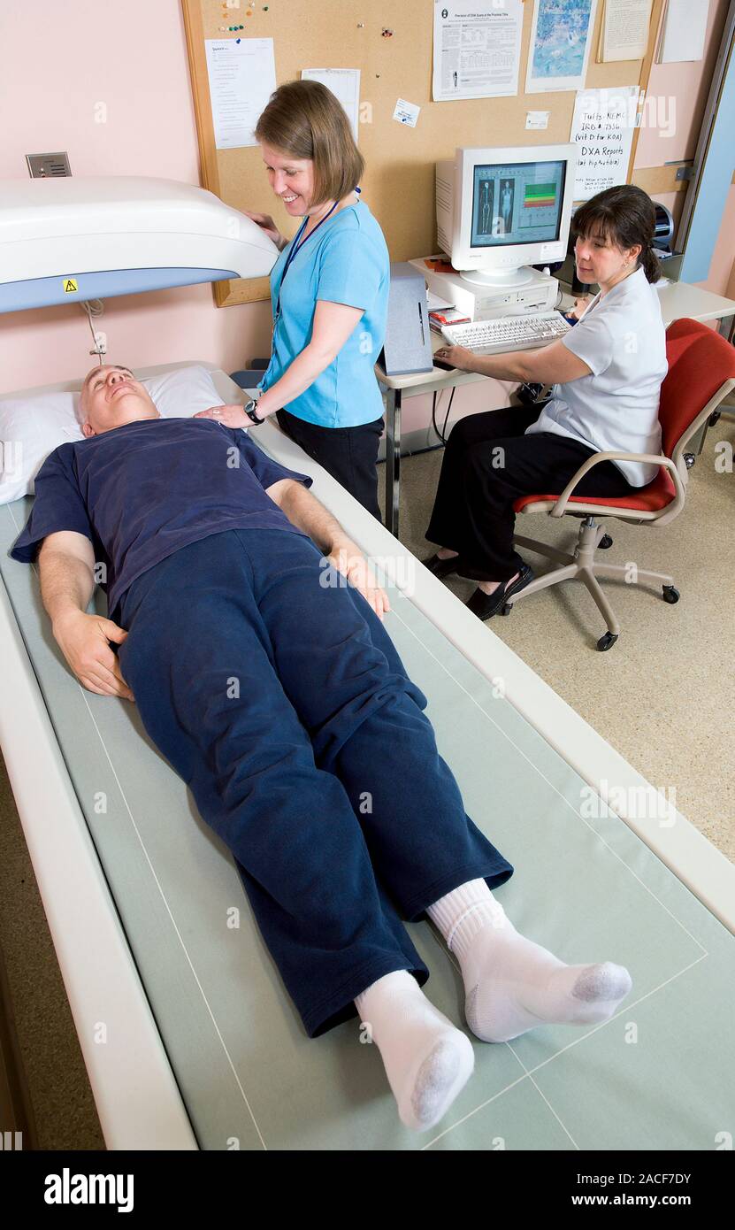 Vitamin K research. Nutritionists performing a dual-energy X-ray ...