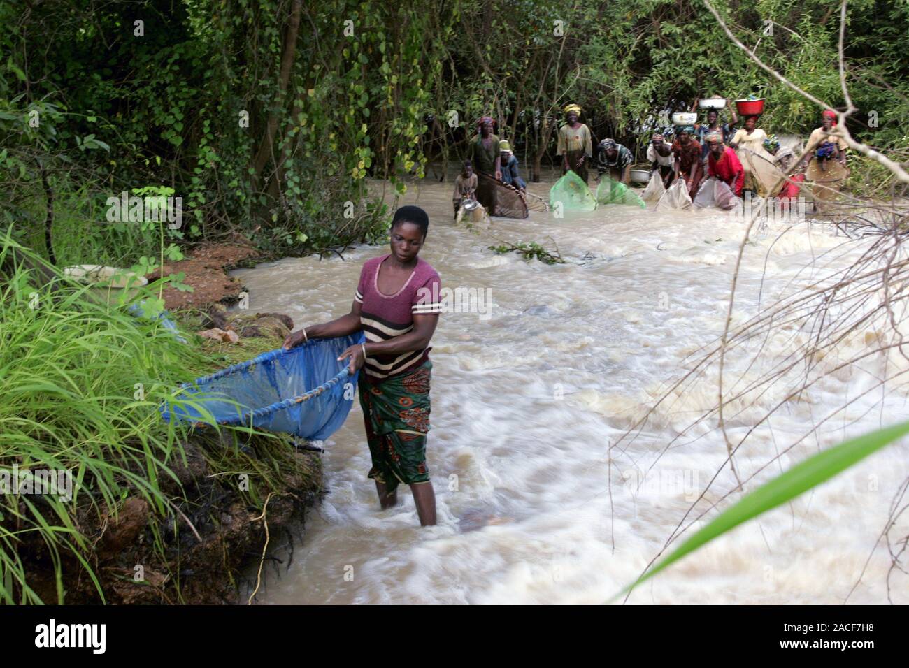 River fishing. Local people using nets to fish in a river. Photographed ...