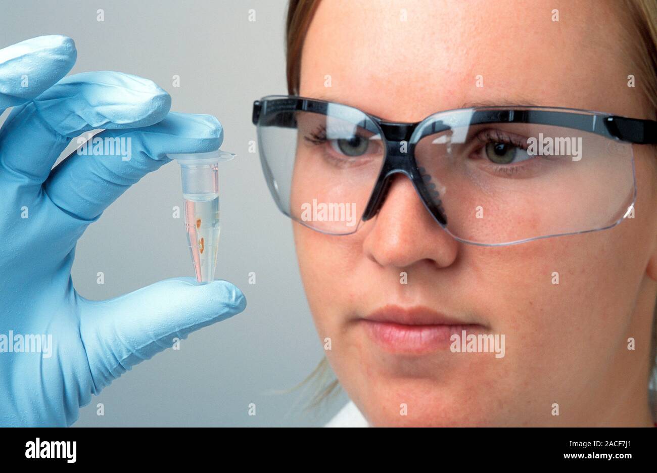 Bacteria research. Close-up of a techinician holding a glass vial ...