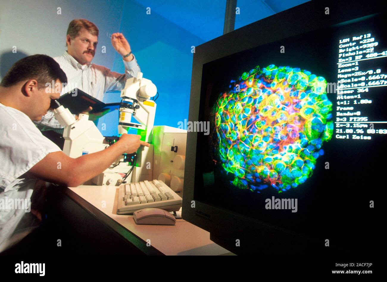Cryogenics research. Animal physiologist (right) and researcher ...