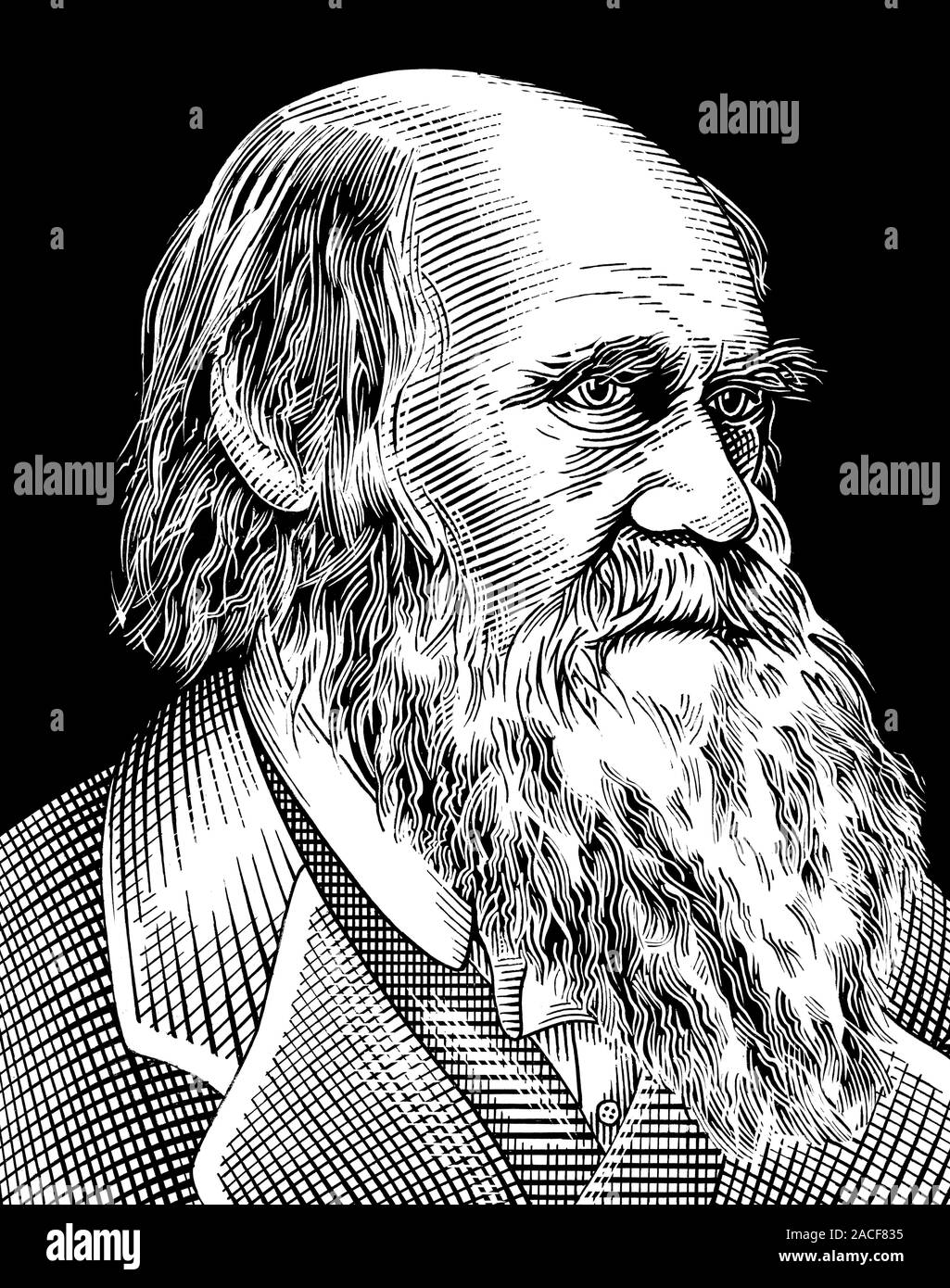 Charles Darwin (1809-1882). Scraper-board print of the British ...