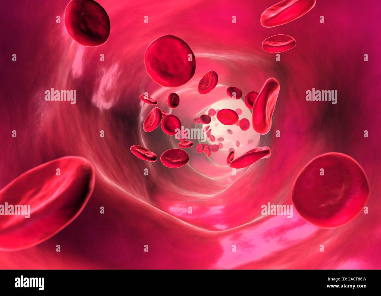 Red blood cells in blood vessel, computer artwork. Red blood cells ...