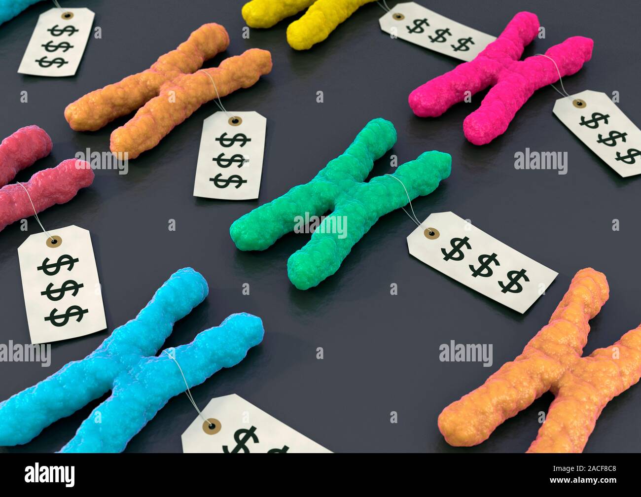 Designer chromosomes. Conceptual computer artwork of genetically ...