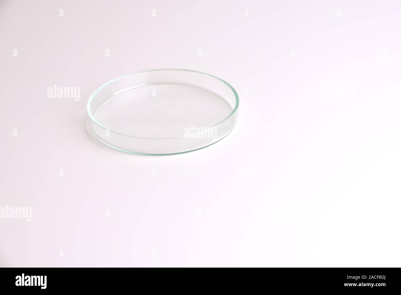 Petri dish isolated on white background. Science scientific concept ...