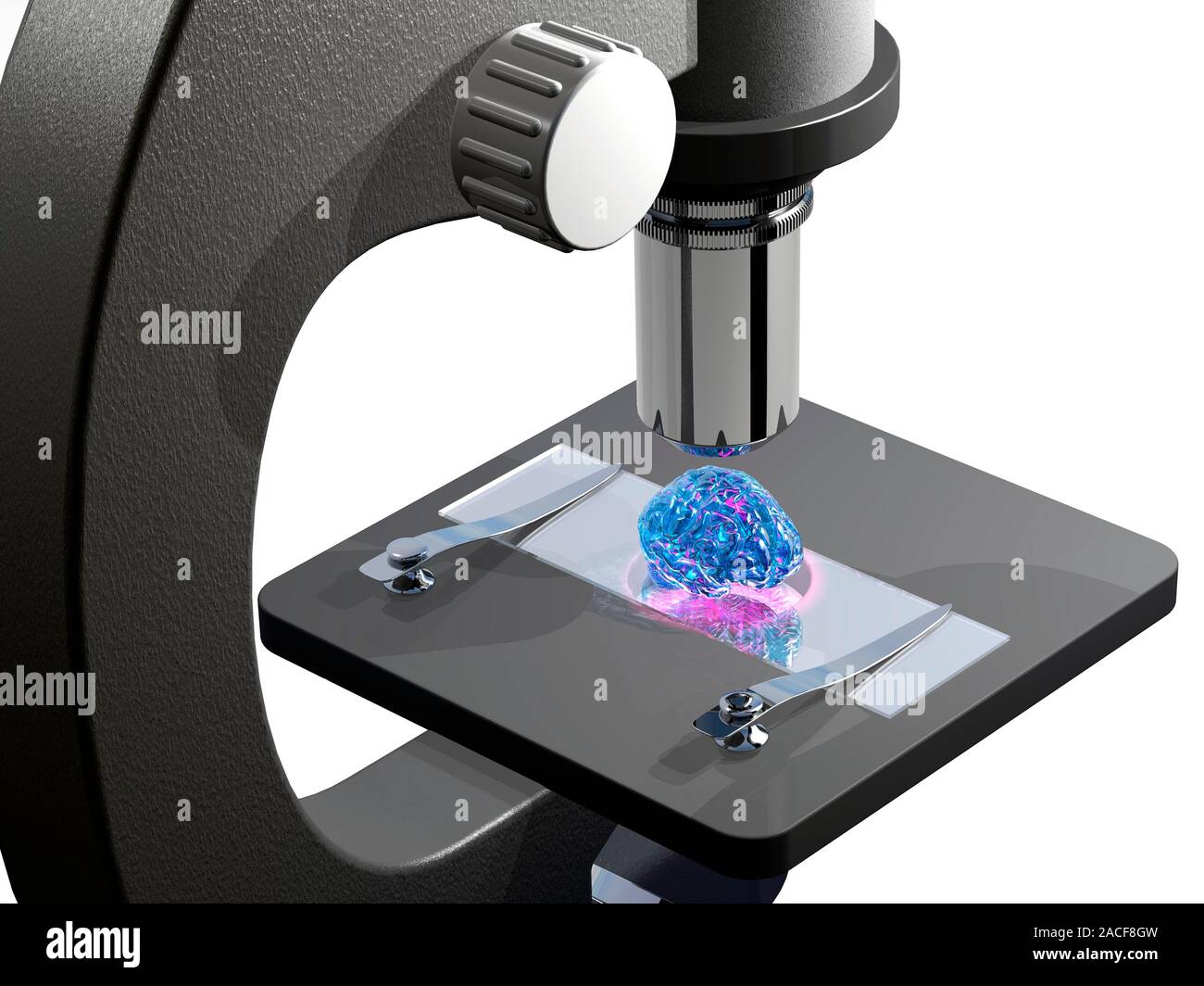 Neurology research, conceptual computer artwork. Human brain being ...