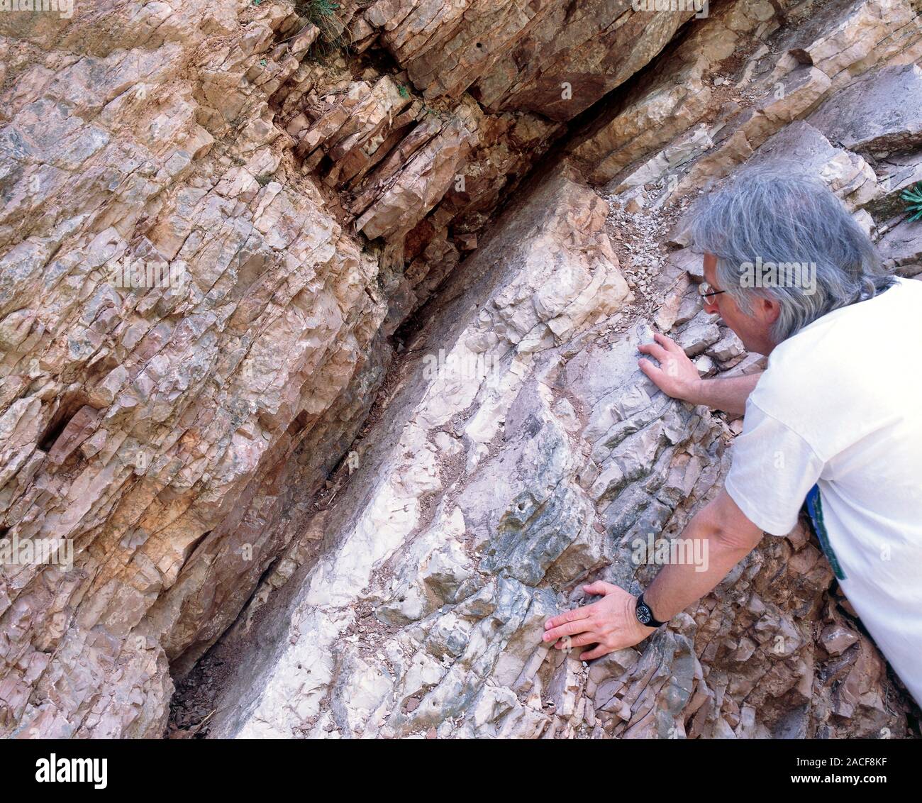 K/T boundary layer being examined by a tourist. This geological ...