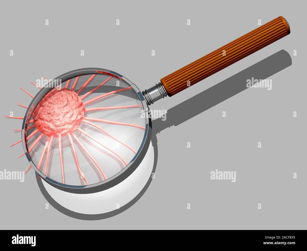 Cancer research, conceptual computer artwork. Cancer cell being studied ...