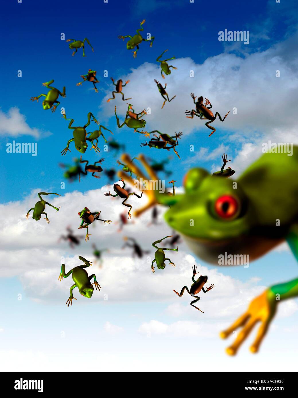 Raining frogs, computer artwork. This image depicts the meteorological ...