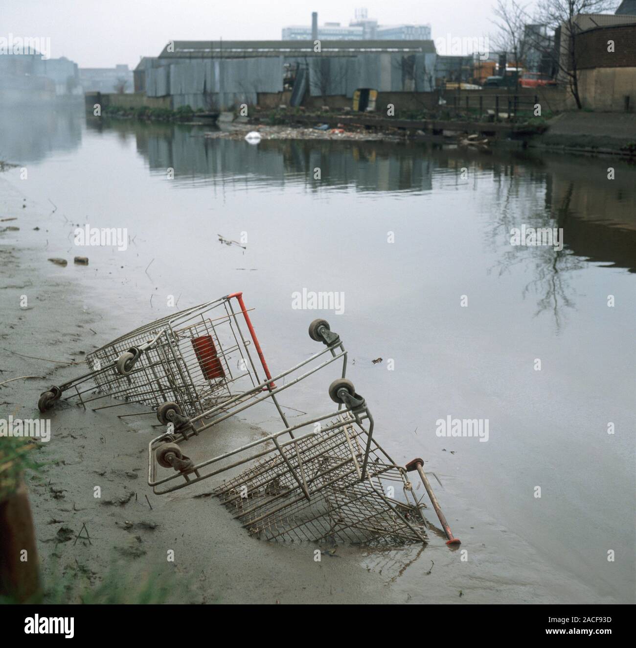 Dumped shopping trolleys. Shopping trolleys dumped in the River Lea at ...