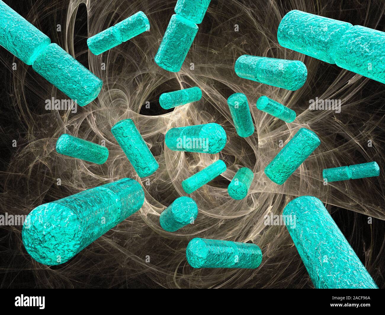 Rod-shaped bacteria, computer artwork. Typical rod-shaped bacteria ...