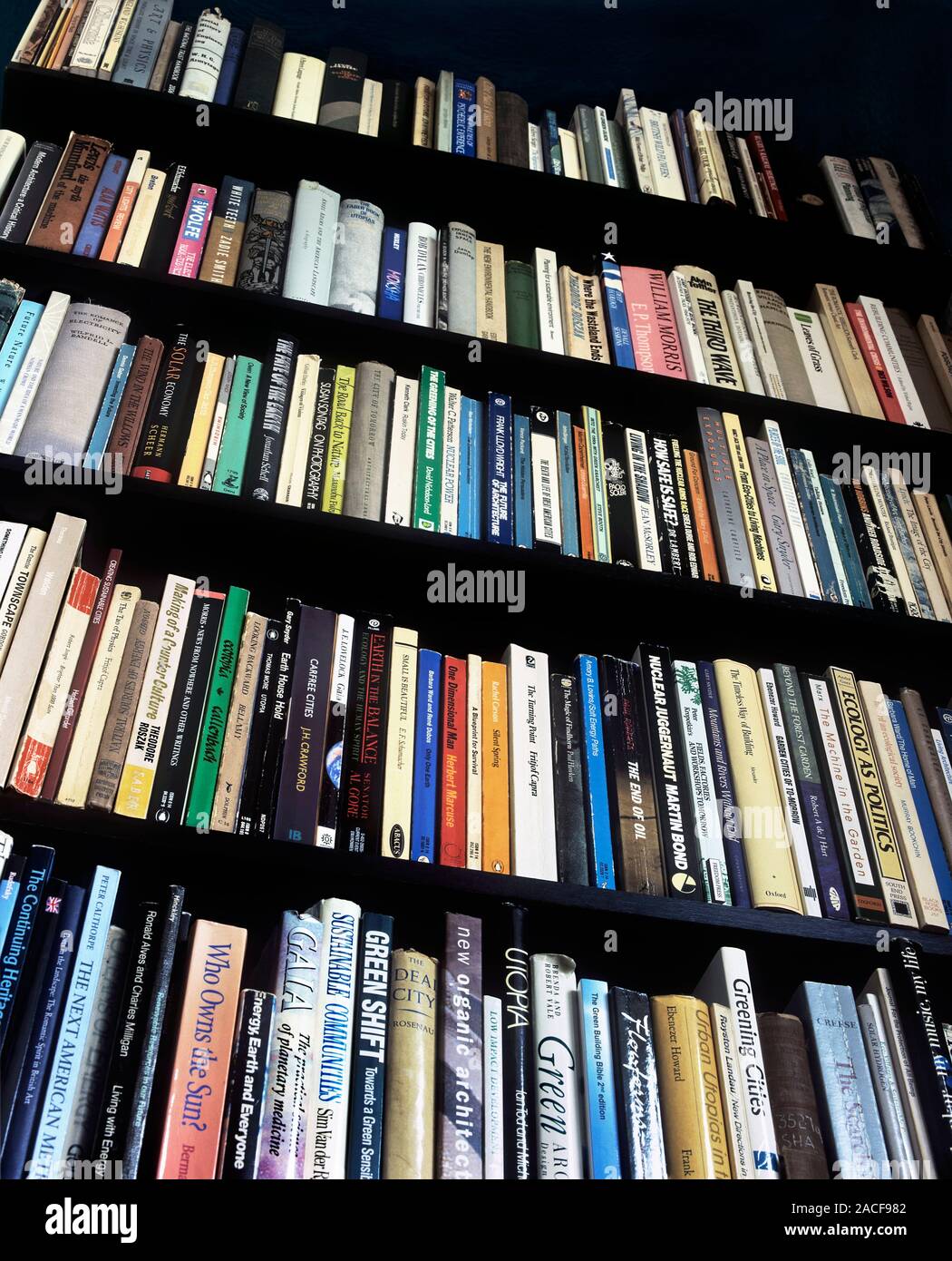 Books on bookshelves Stock Photo - Alamy