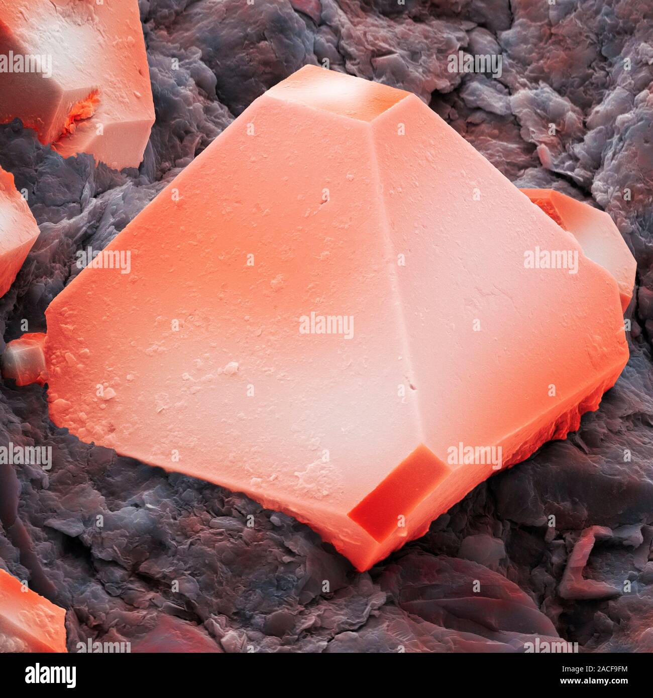Iron pyrite crystals embedded in shale, coloured scanning electron ...